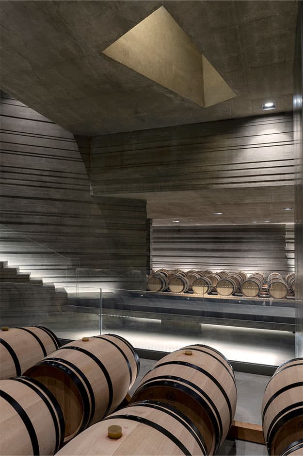 The Winery - Masseto | Masseto